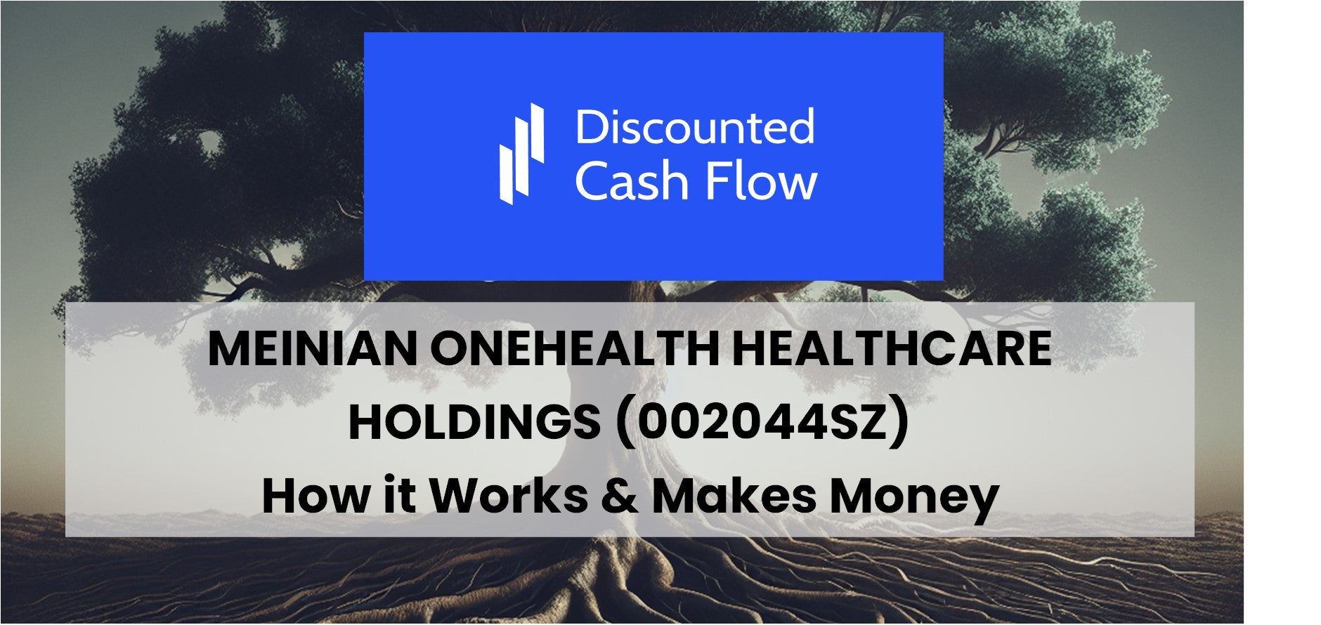 Meinian Onehealth Healthcare Holdings (002044SZ): history, ownership ...