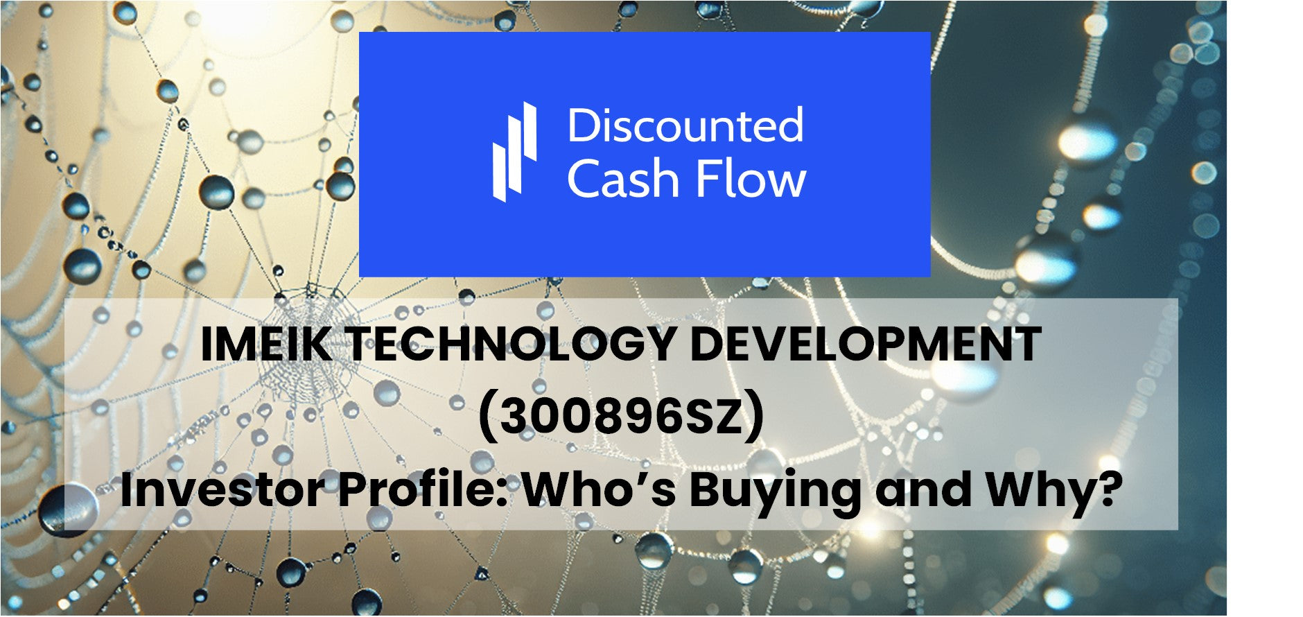 Exploring Imeik Technology Development (300896SZ): Who’s Buying and Why ...