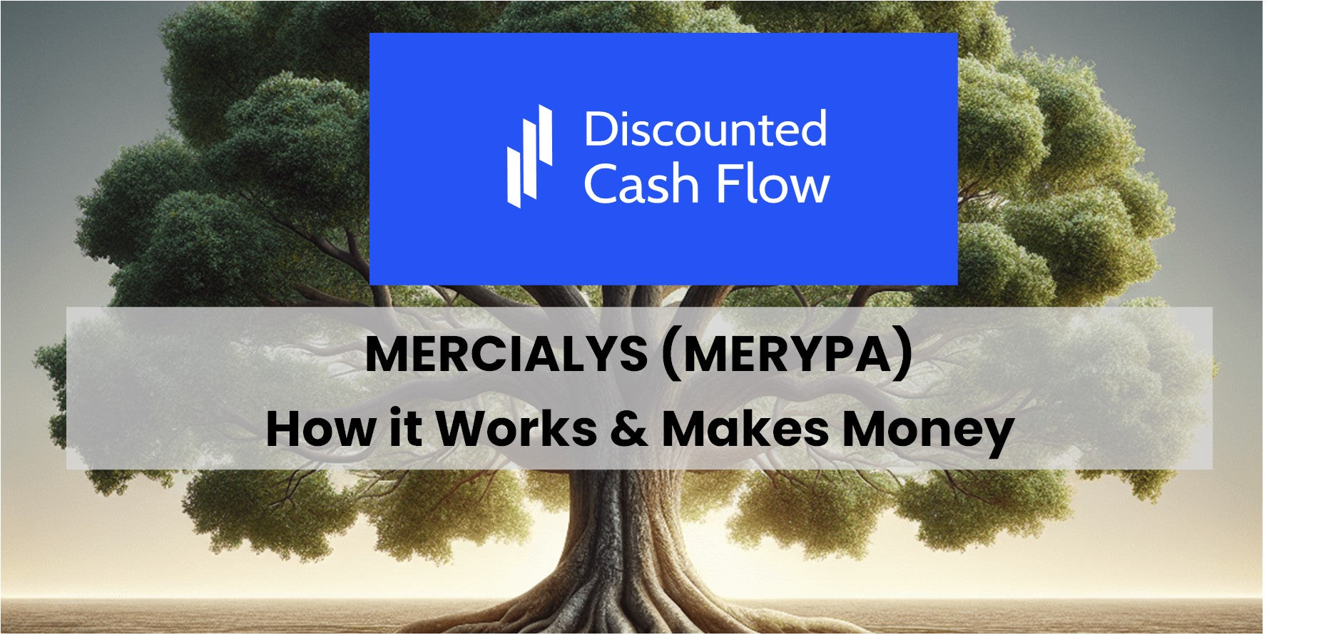 Mercialys (MERYPA): history, ownership, mission, how it works & makes ...