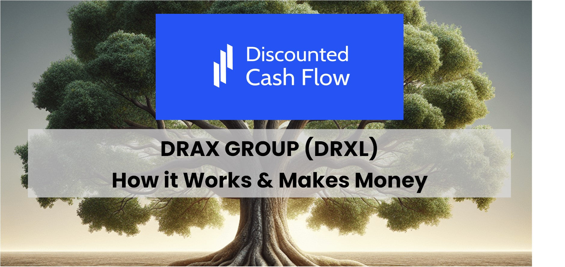 Drax Group (DRXL): history, ownership, mission, how it works & makes ...