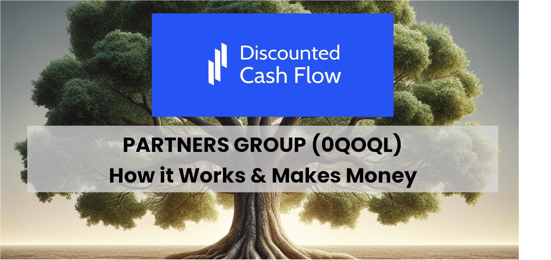 Partners Group (0QOQL): history, ownership, mission, how it works ...