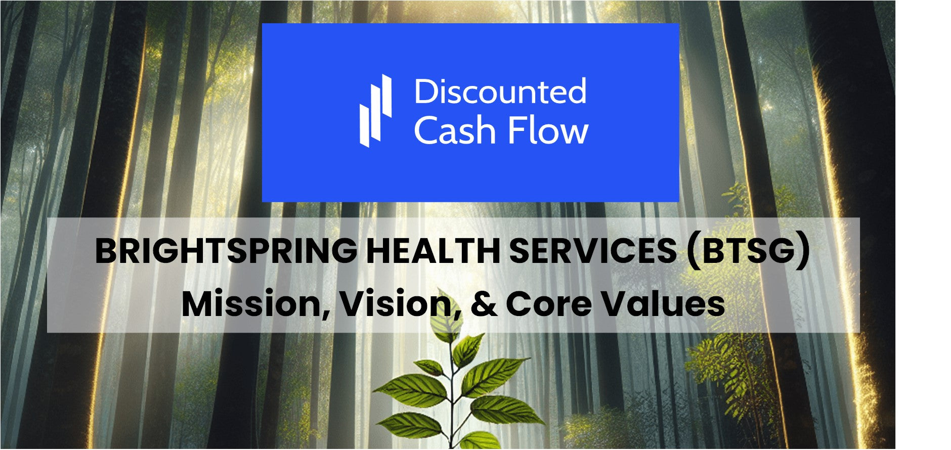 Mission Statement, Vision, & Core Values (2025) of BrightSpring Health ...