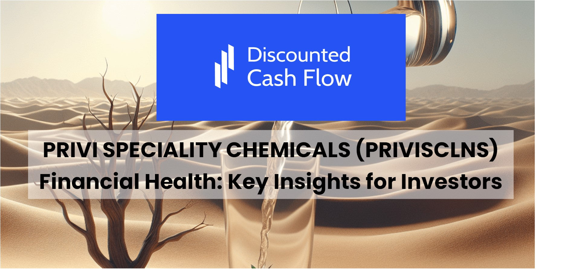 Breaking Down Privi Speciality Chemicals (PRIVISCLNS) Financial Health ...