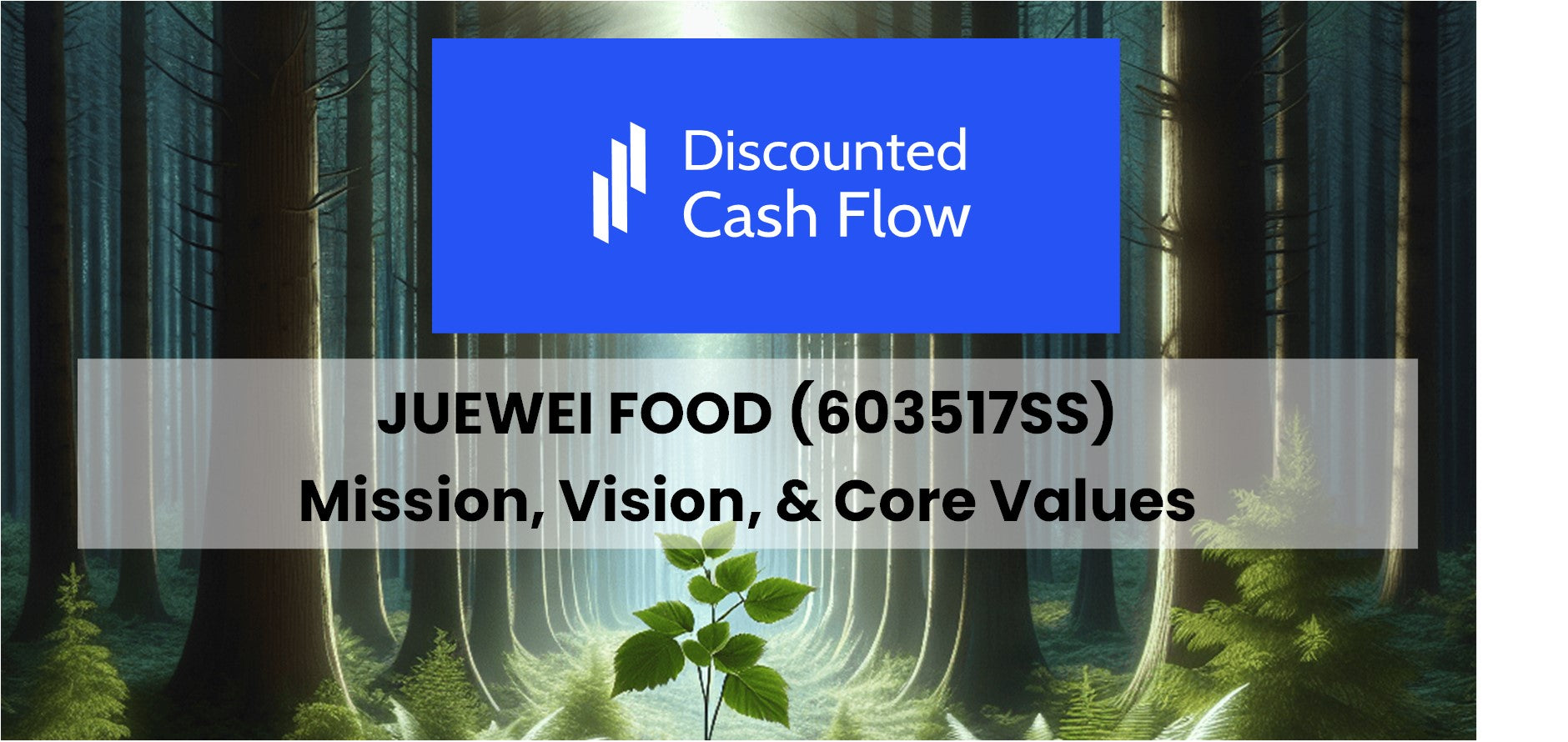 Mission Statement, Vision, & Core Values (2025) of Juewei Food ...