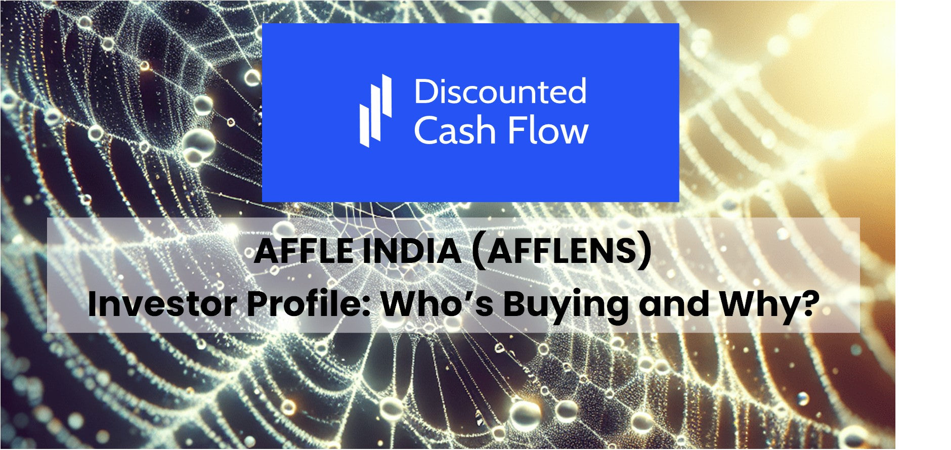 Exploring Affle India (AFFLENS): Who’s Buying and Why? – DCFmodeling.com