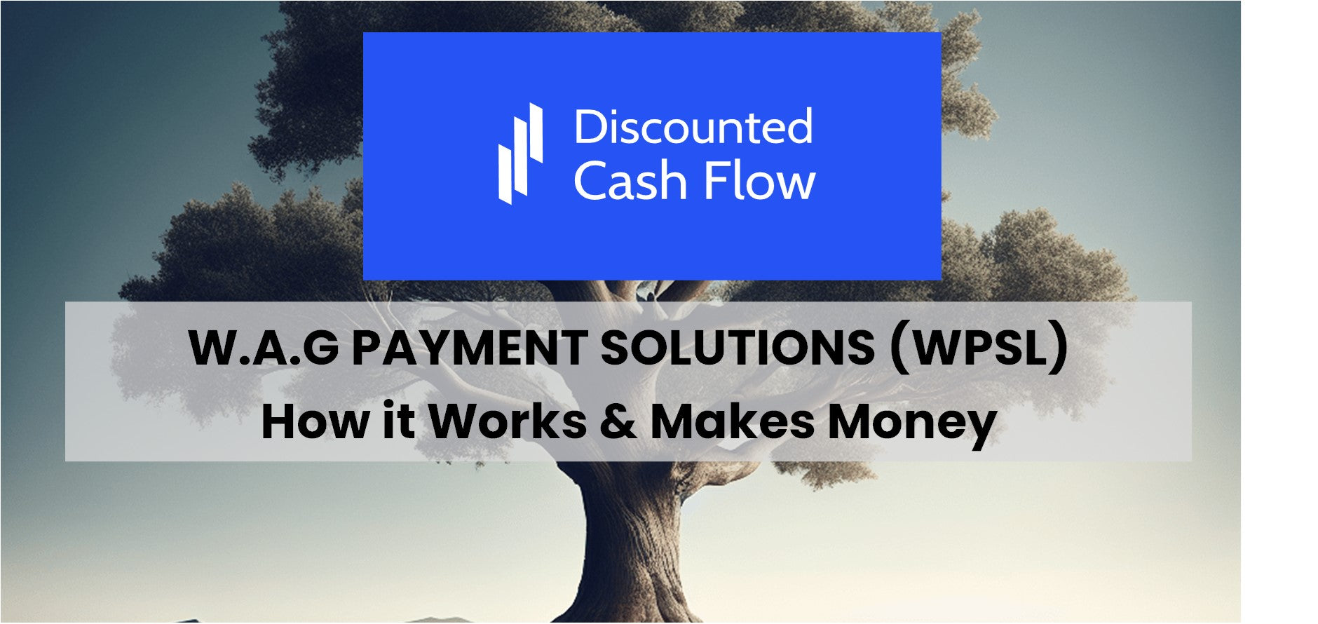 W.A.G payment solutions (WPSL): history, ownership, mission, how it ...