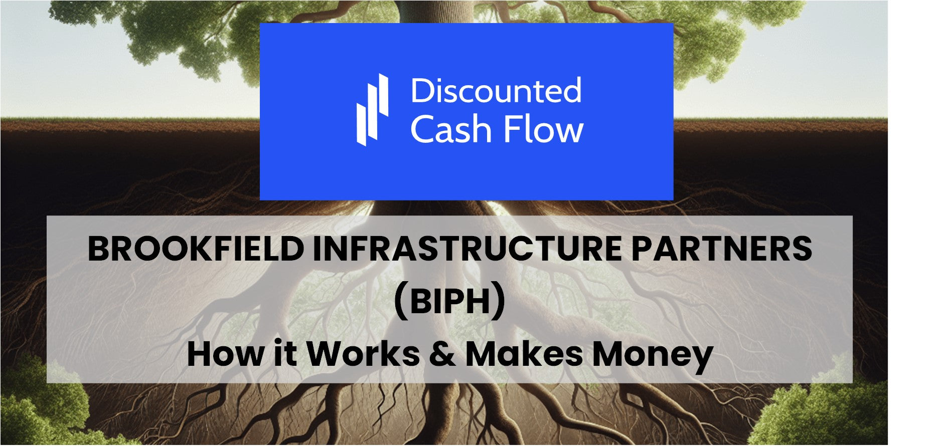 Brookfield Infrastructure Partners (BIPH): history, ownership, mission ...