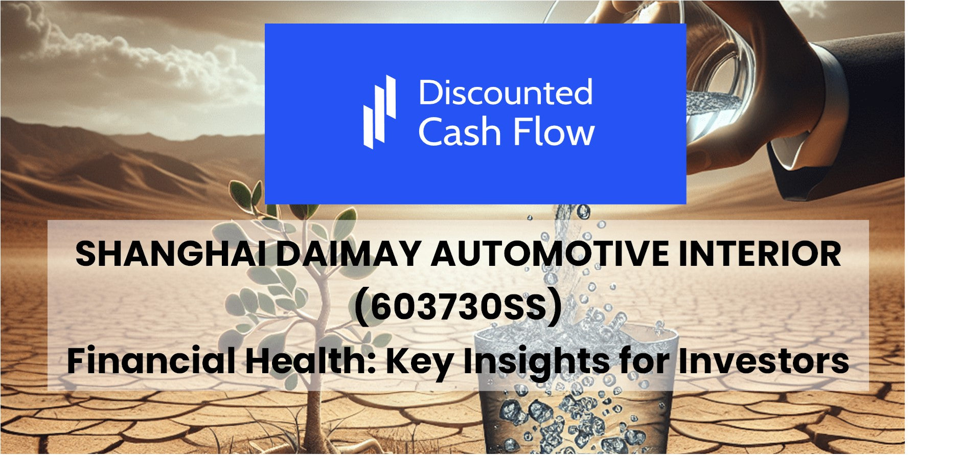 Breaking Down Shanghai Daimay Automotive Interior (603730SS) Financial ...