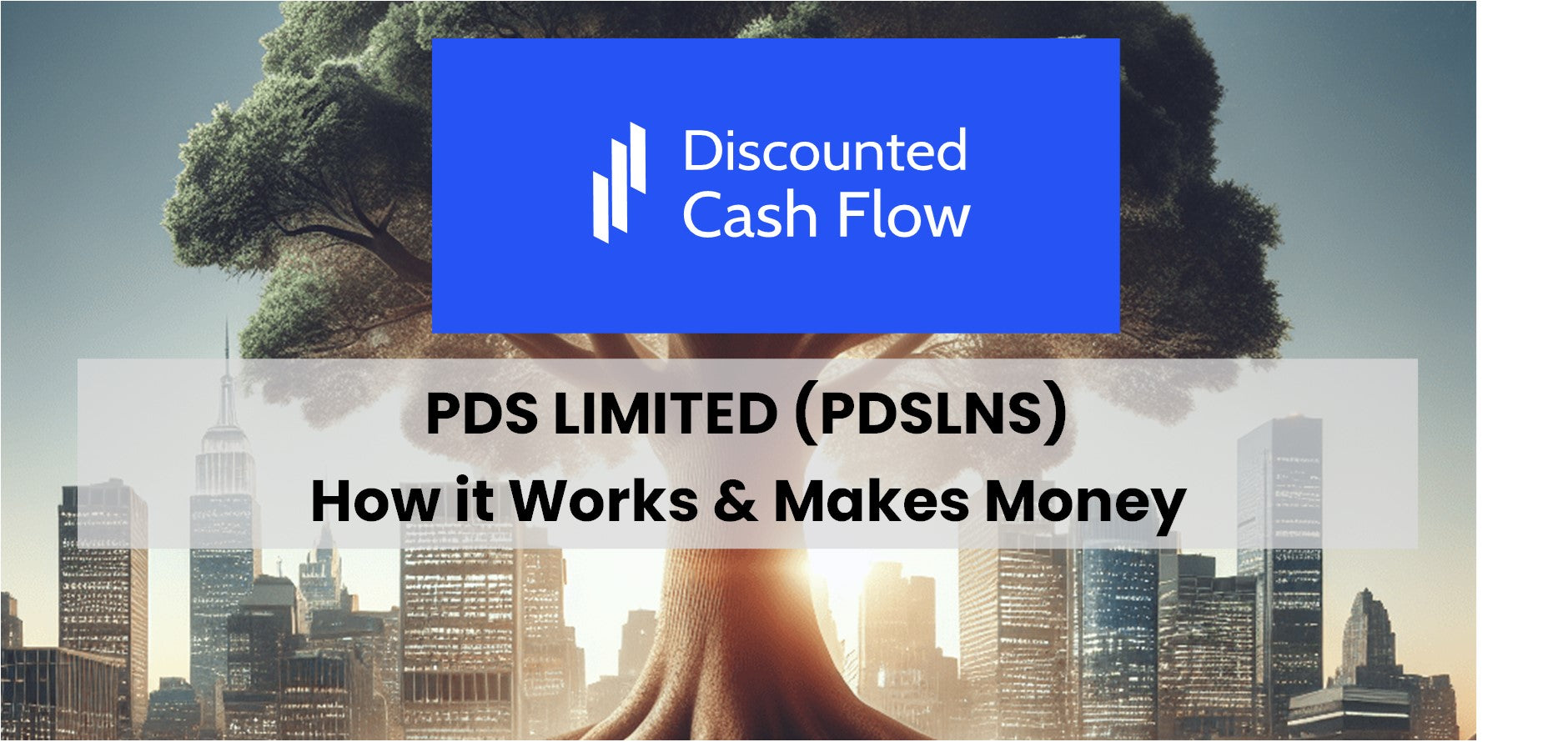 PDS Limited (PDSLNS): history, ownership, mission, how it works & makes ...