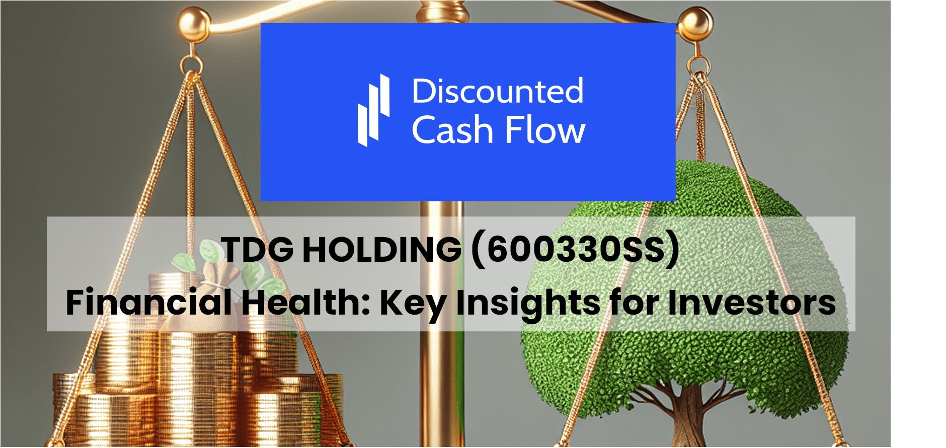 Breaking Down TDG Holding (600330SS) Financial Health: Key Insights for ...