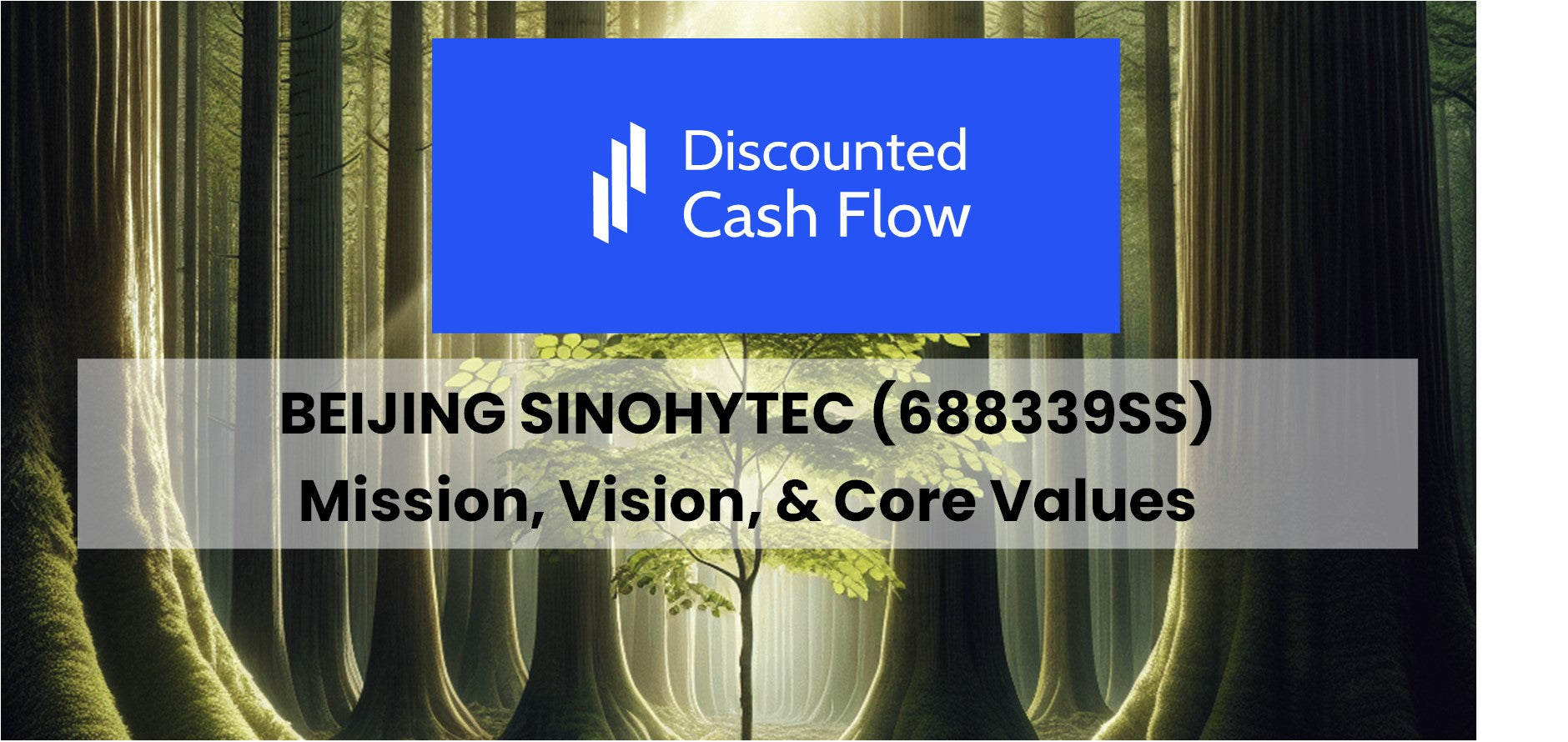 Mission Statement, Vision, & Core Values (2025) of Beijing SinoHytec ...