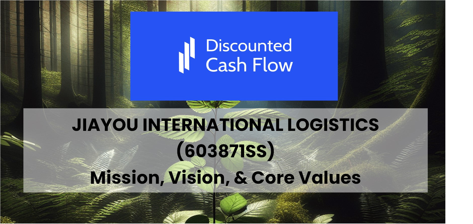 Mission Statement, Vision, & Core Values (2025) of Jiayou International ...