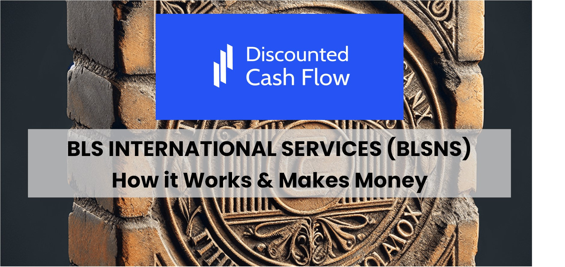 BLS International Services (BLSNS): history, ownership, mission, how it ...
