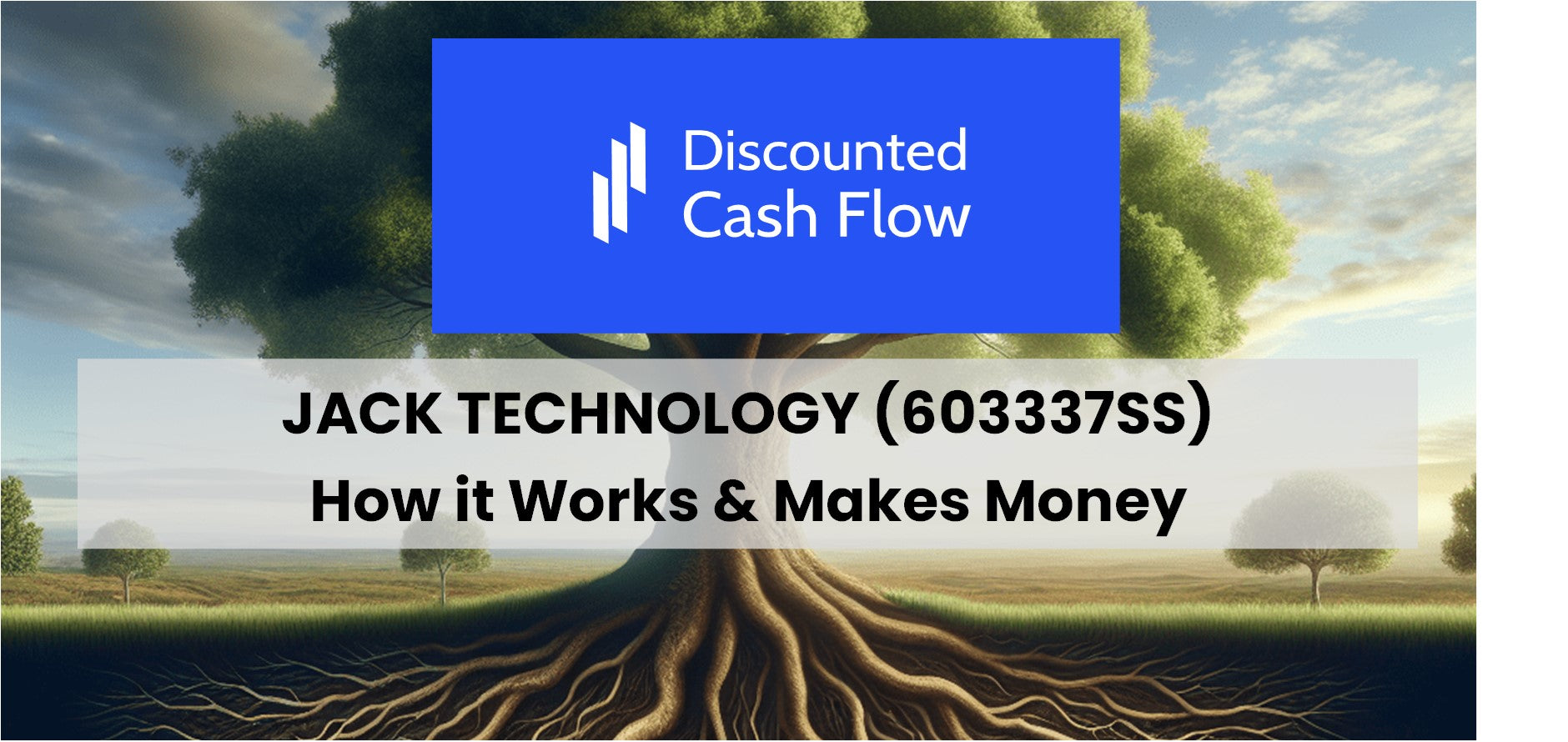 Jack Technology (603337SS): history, ownership, mission, how it works ...