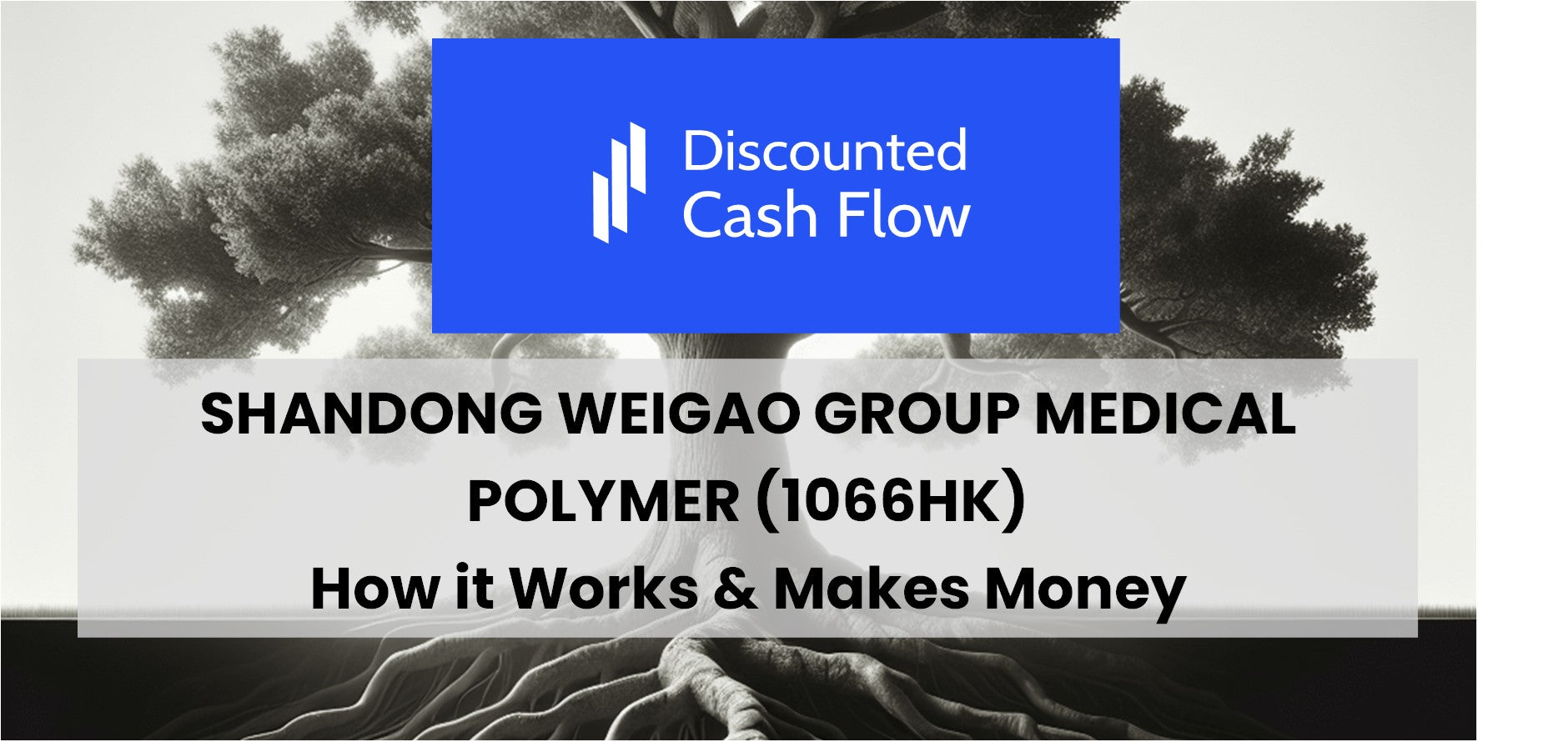 Shandong Weigao Group Medical Polymer (1066HK): history, ownership ...