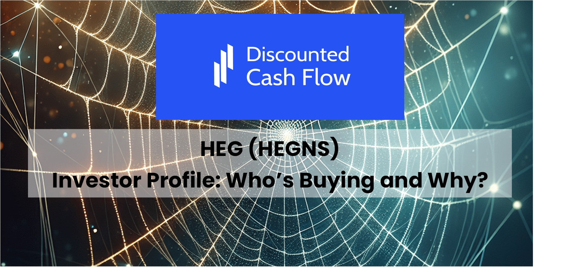 Exploring HEG (HEGNS): Who’s Buying and Why? – DCFmodeling.com