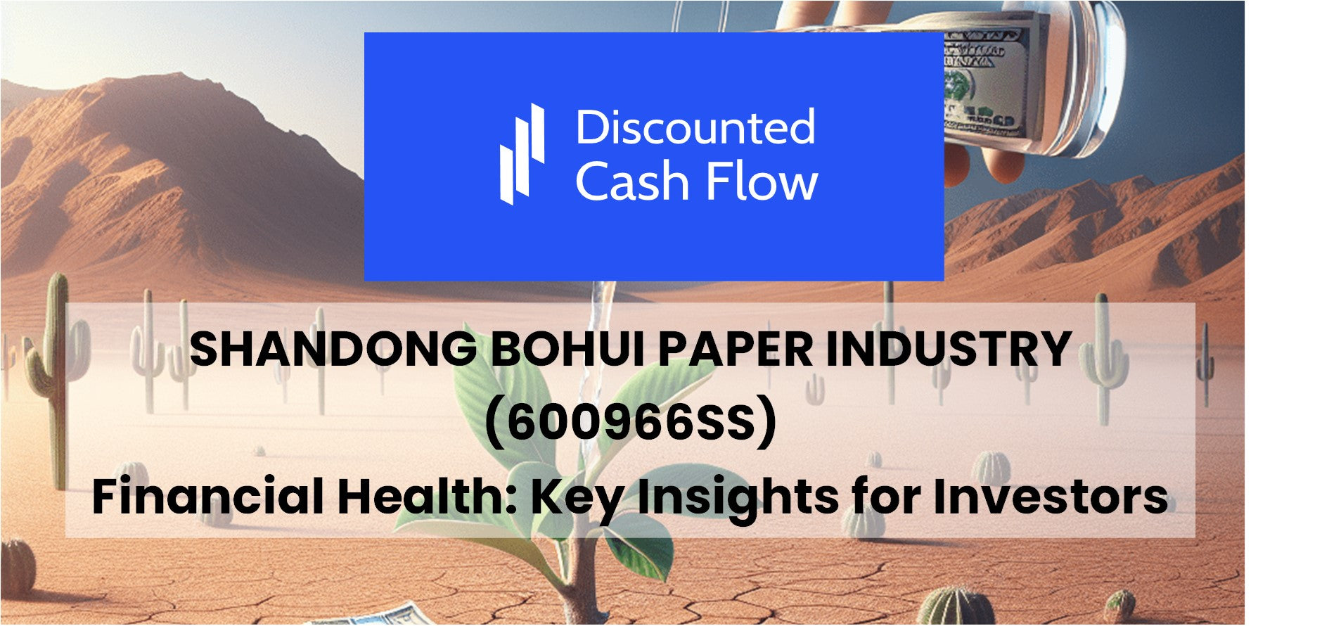 Breaking Down Shandong Bohui Paper Industry (600966SS) Financial Health ...