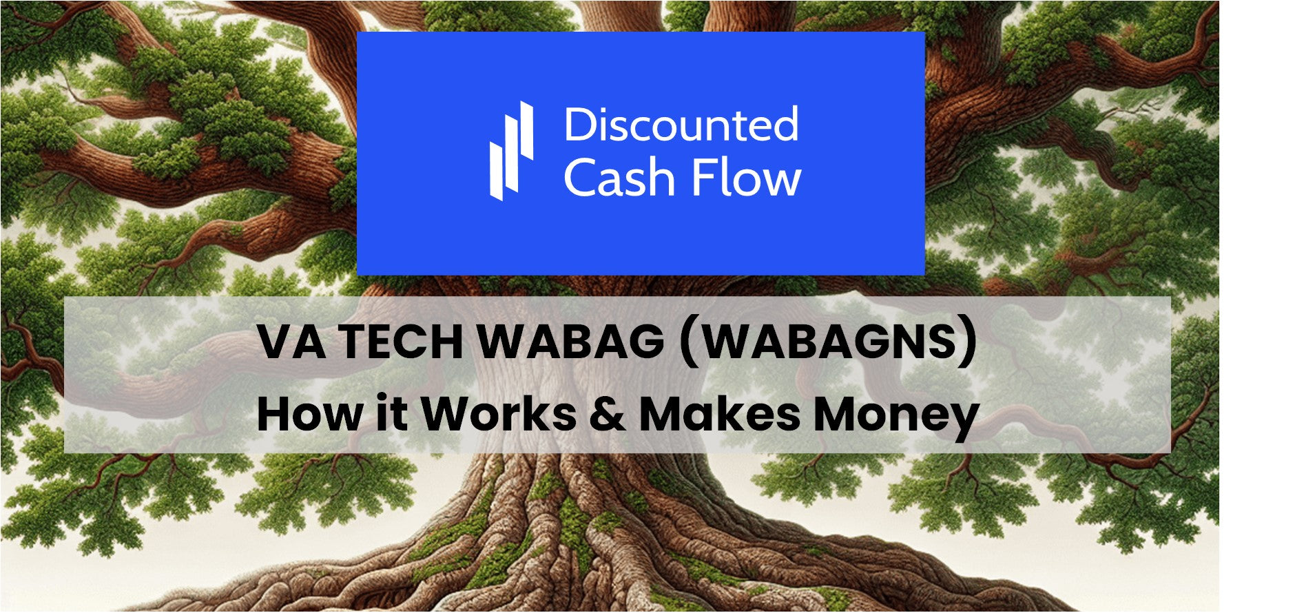VA Tech Wabag (WABAGNS): history, ownership, mission, how it works ...