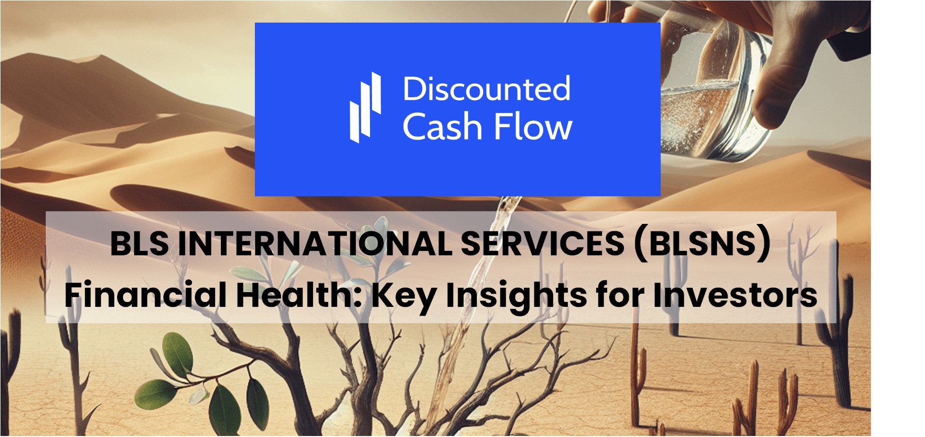 Breaking Down BLS International Services (BLSNS) Financial Health: Key ...