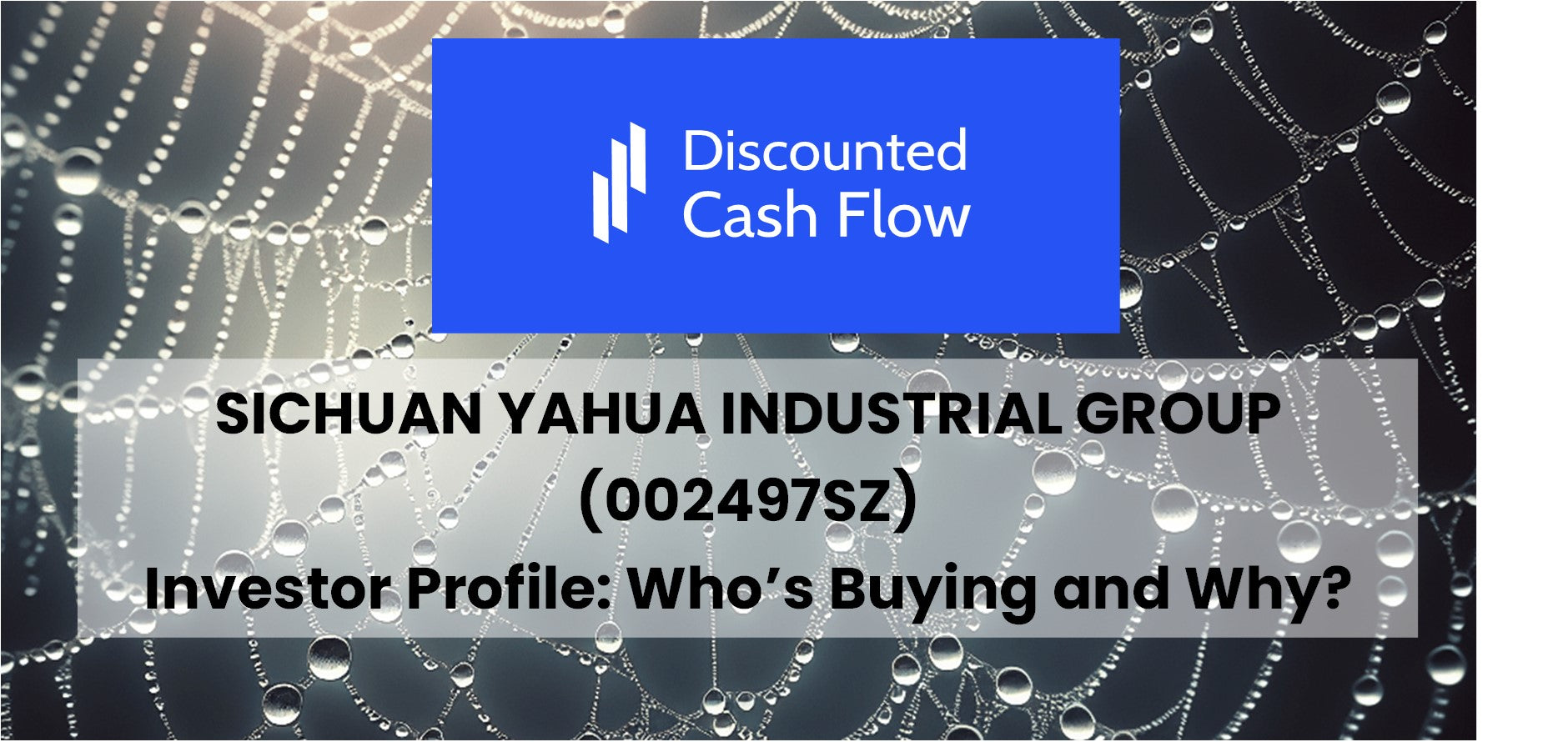 Exploring Sichuan Yahua Industrial Group (002497SZ): Who’s Buying and ...