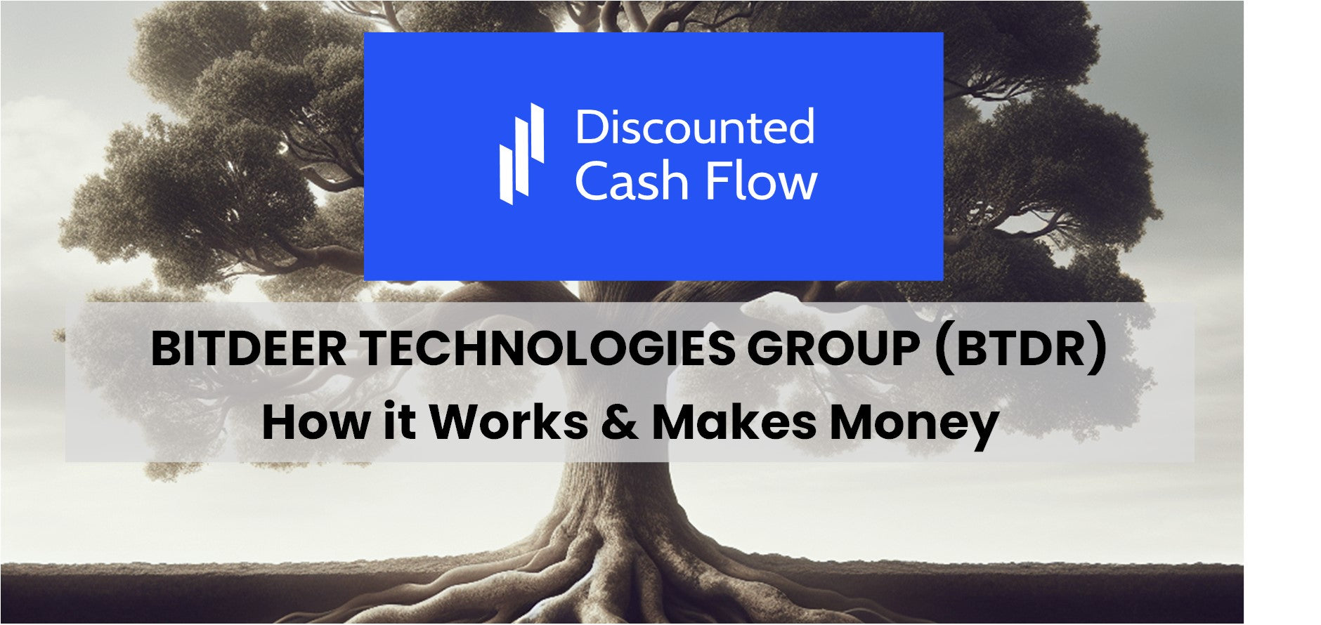 Bitdeer Technologies Group (BTDR): history, ownership, mission, how it ...