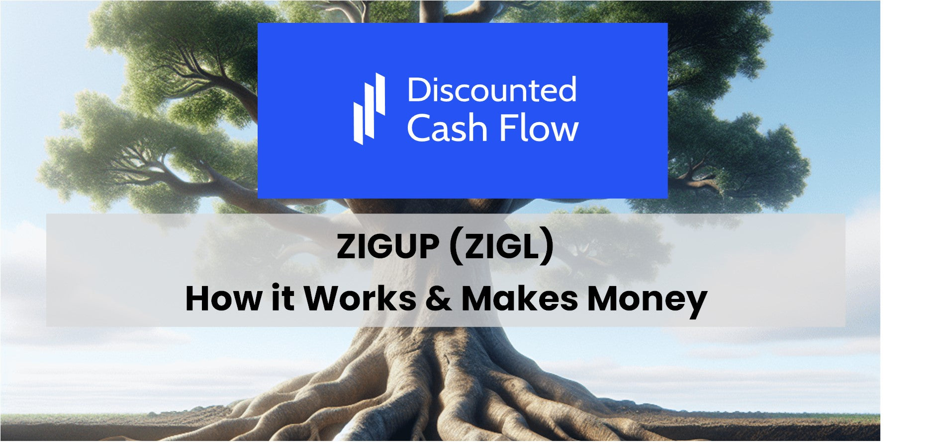 Zigup (ZIGL): history, ownership, mission, how it works & makes money ...