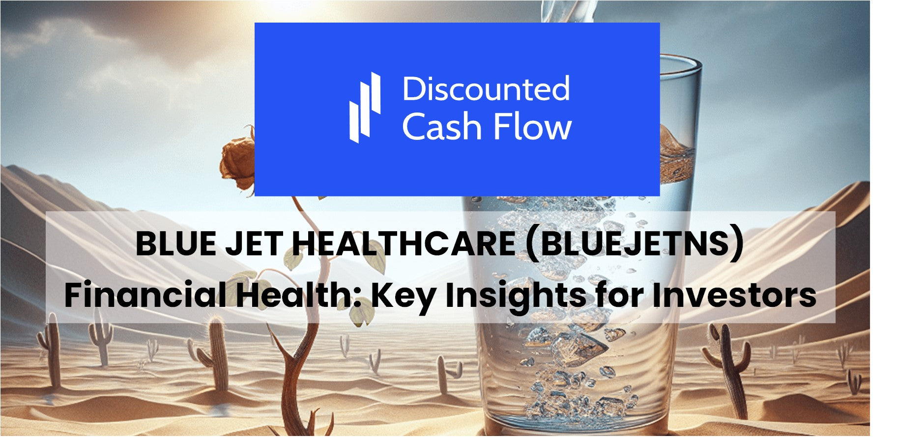 Breaking Down Blue Jet Healthcare (BLUEJETNS) Financial Health: Key ...