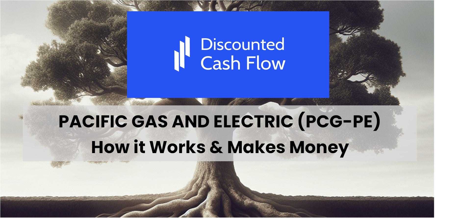 Pacific Gas and Electric (PCG-PE): history, ownership, mission, how it ...