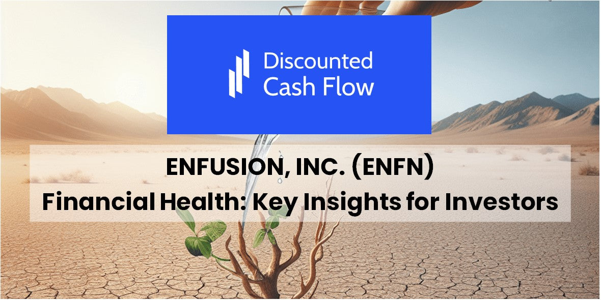 Breaking Down Enfusion, Inc. (ENFN): Key Insights for Investors ...