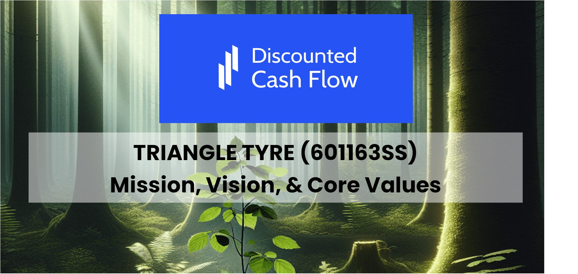 Mission Statement, Vision, & Core Values (2025) of Triangle Tyre ...