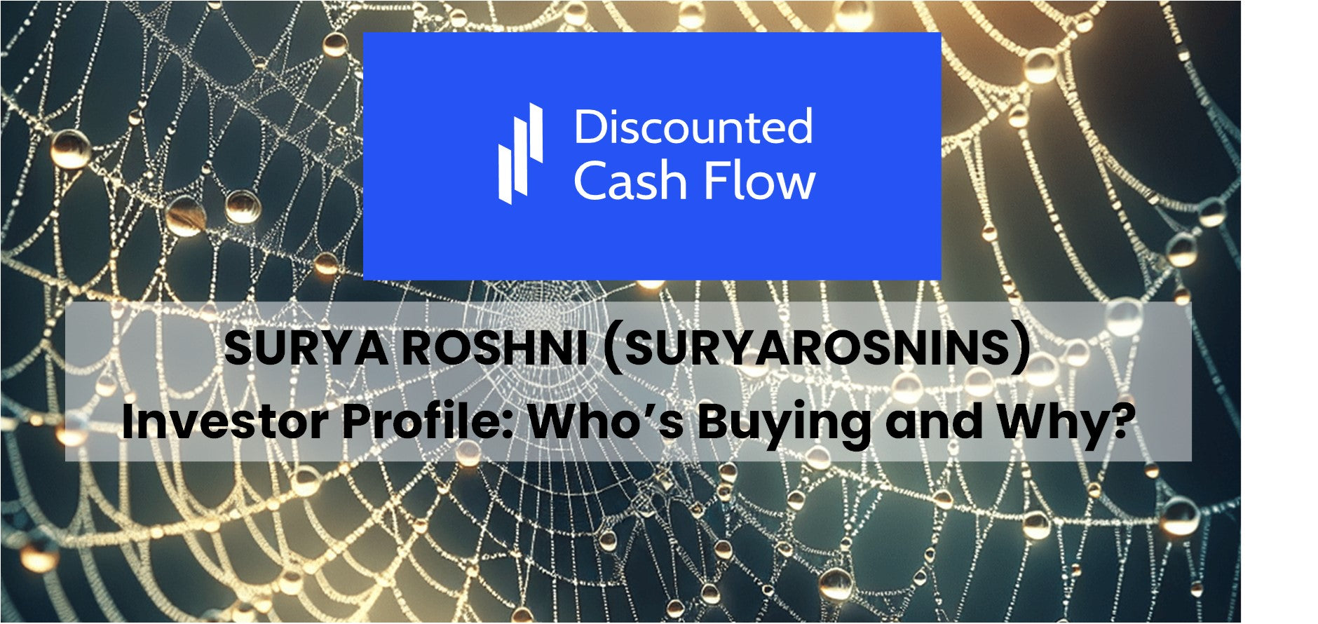 Exploring Surya Roshni (SURYAROSNINS): Who’s Buying and Why ...
