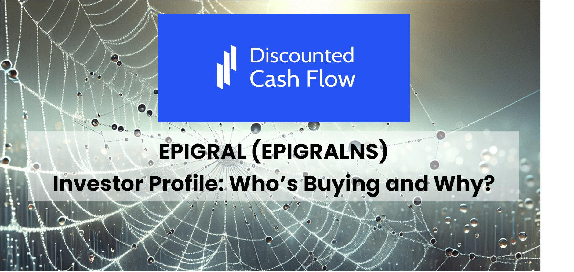 Exploring Epigral (EPIGRALNS): Who’s Buying and Why? – DCFmodeling.com