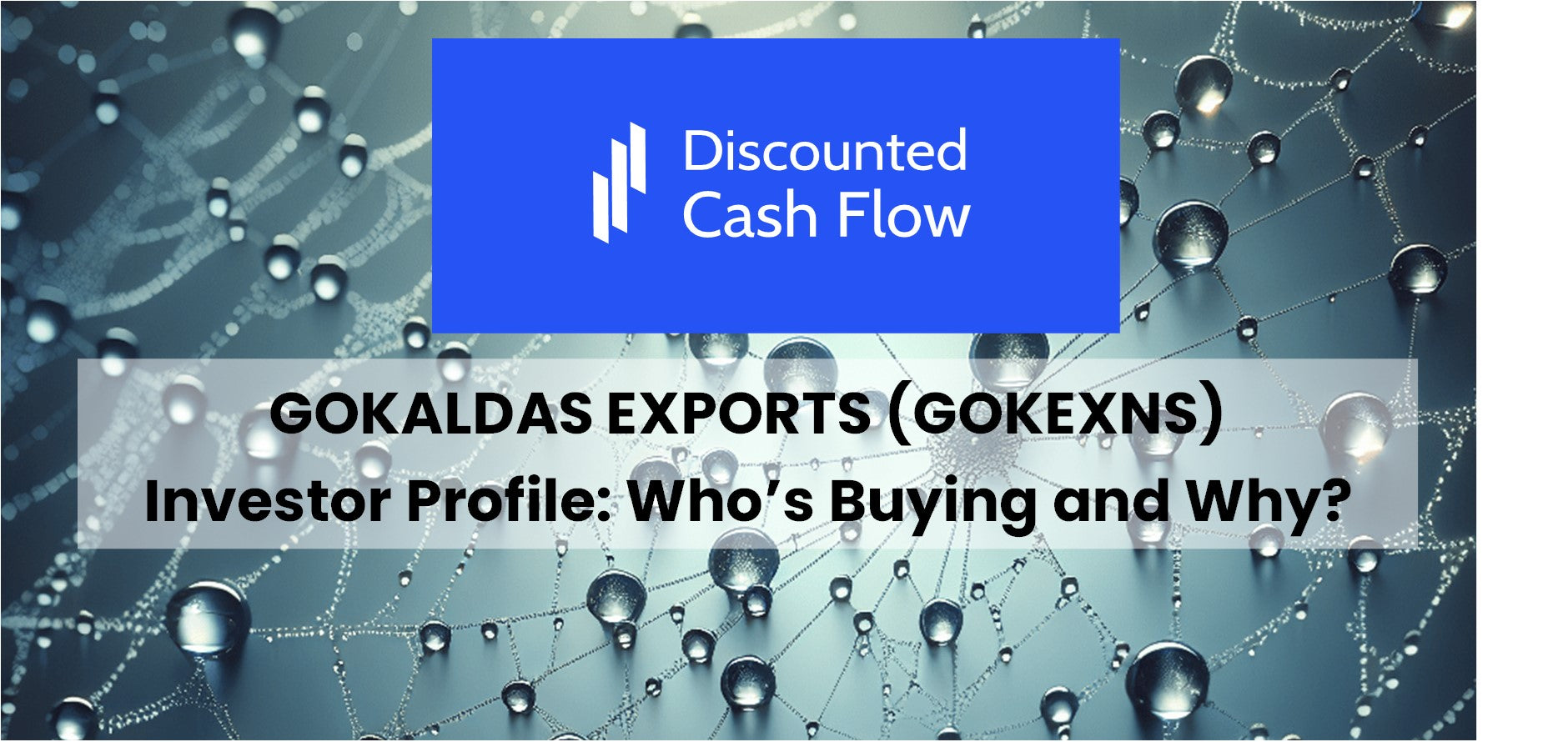 Exploring Gokaldas Exports (GOKEXNS): Who’s Buying and Why ...