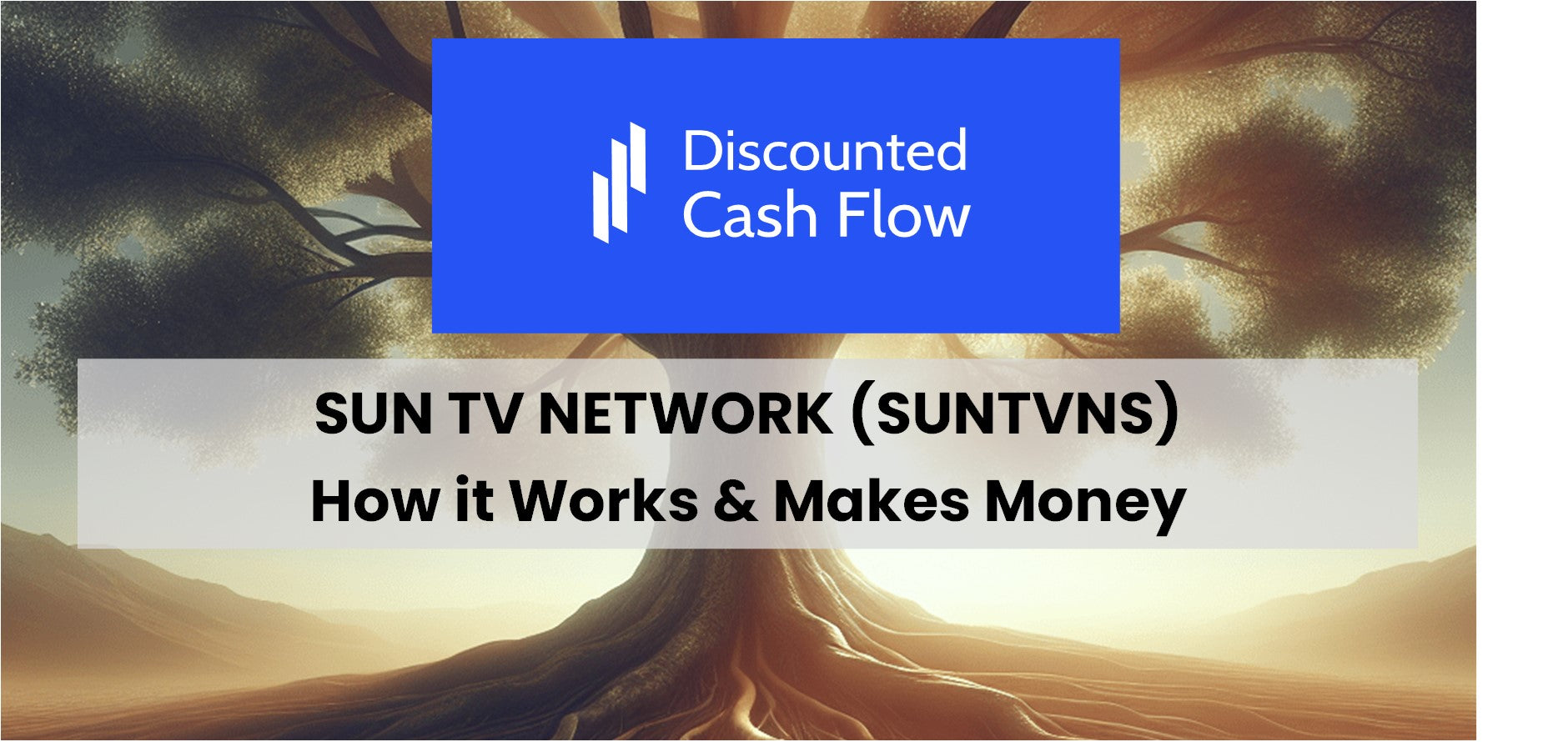Sun TV Network (SUNTVNS): history, ownership, mission, how it works ...
