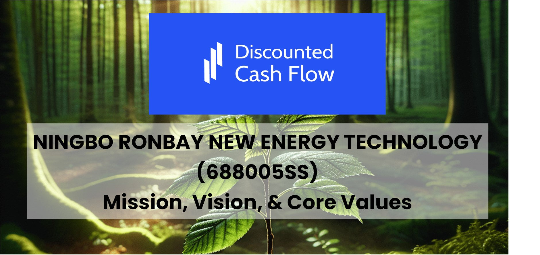 Mission Statement, Vision, & Core Values (2025) of Ningbo Ronbay New ...