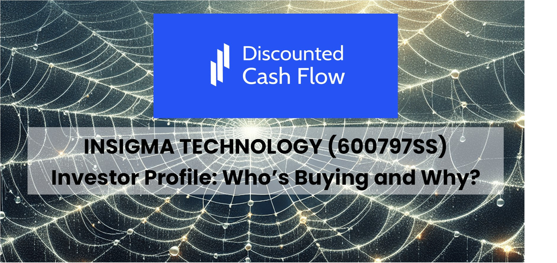 Exploring Insigma Technology (600797SS): Who’s Buying and Why ...