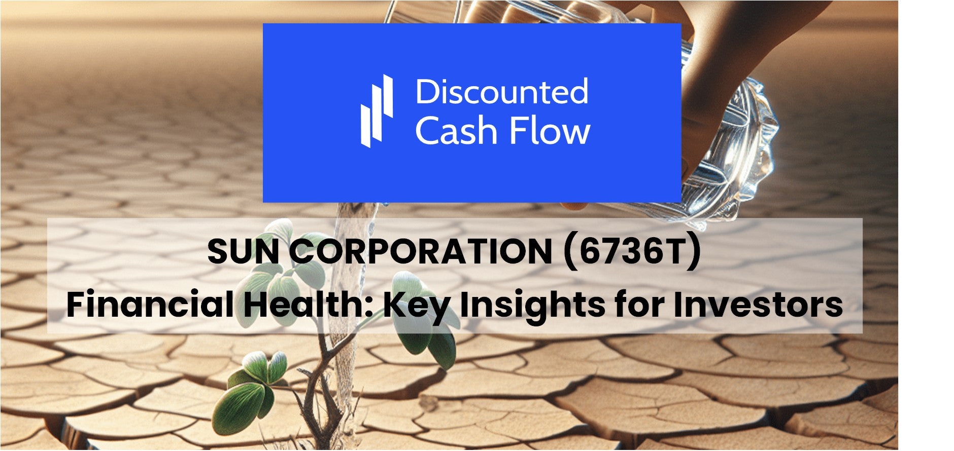 Breaking Down Sun Corporation (6736T) Financial Health: Key Insights ...