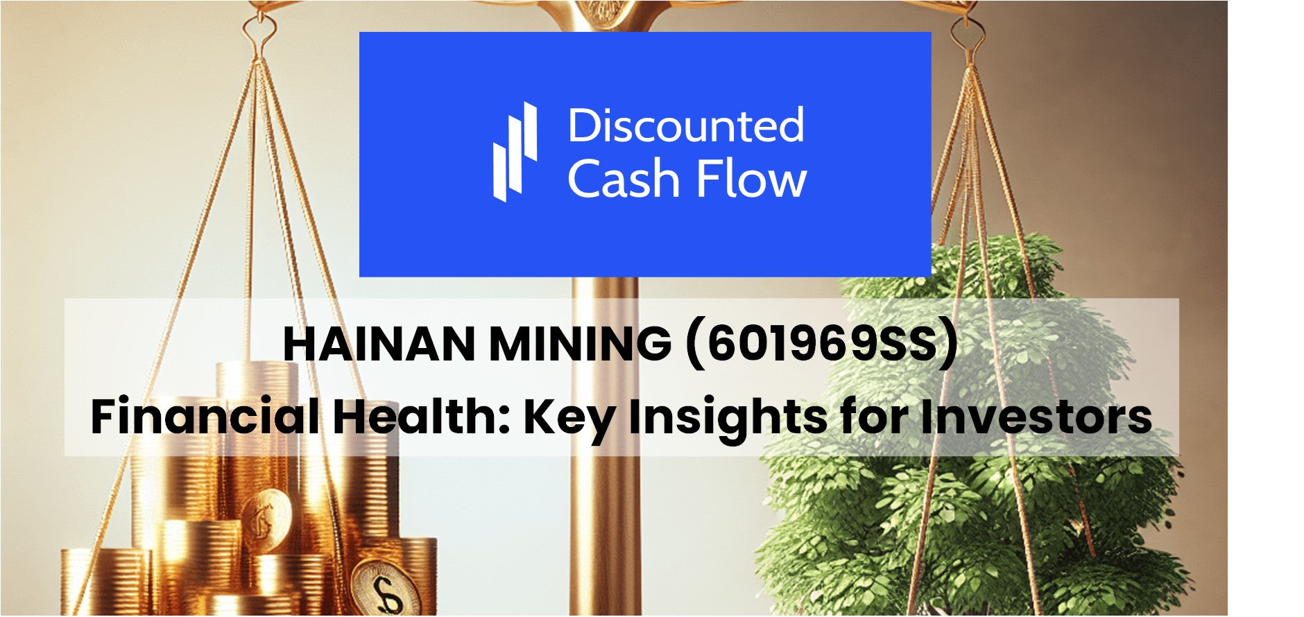 Breaking Down Hainan Mining (601969SS) Financial Health: Key Insights ...