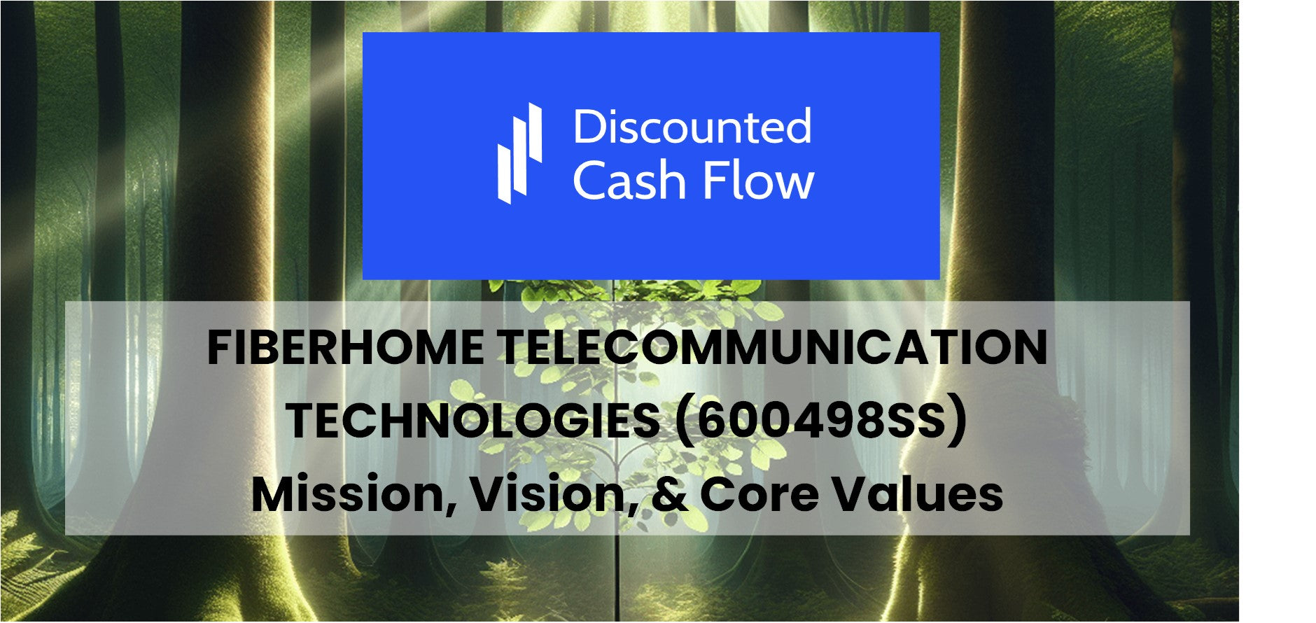 Mission Statement, Vision, & Core Values (2025) of Fiberhome ...