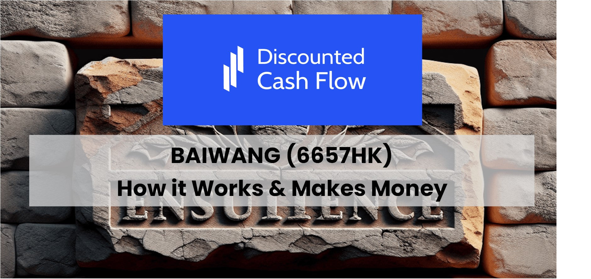 Baiwang (6657HK): history, ownership, mission, how it works & makes ...