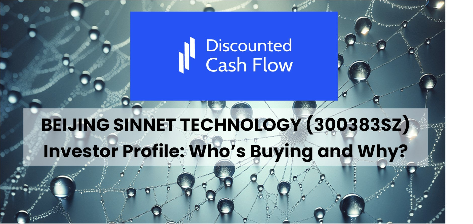 Exploring Beijing Sinnet Technology (300383SZ): Who’s Buying and Why ...