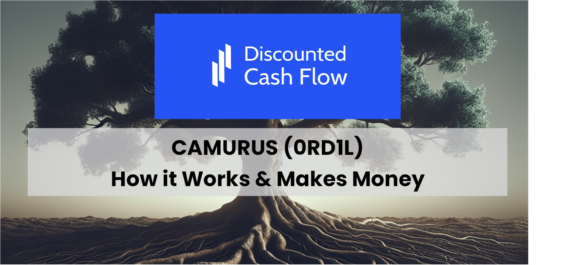 Camurus (0RD1L): history, ownership, mission, how it works & makes ...