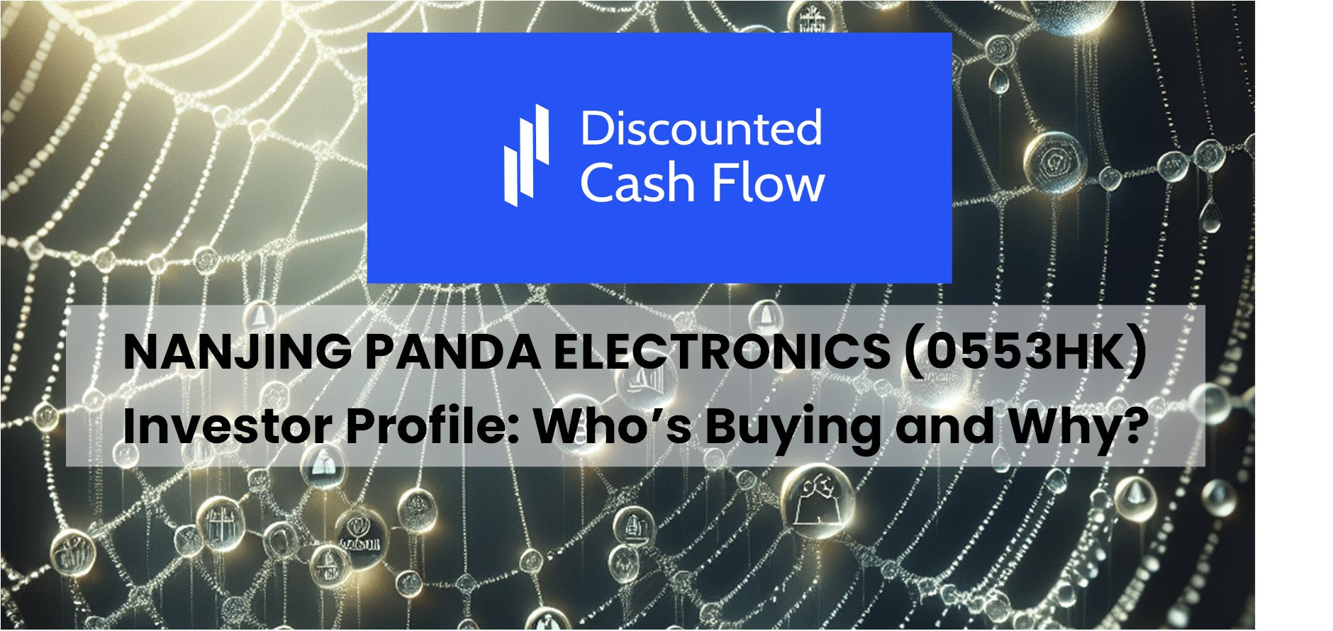 Exploring Nanjing Panda Electronics (0553HK): Who’s Buying and Why ...