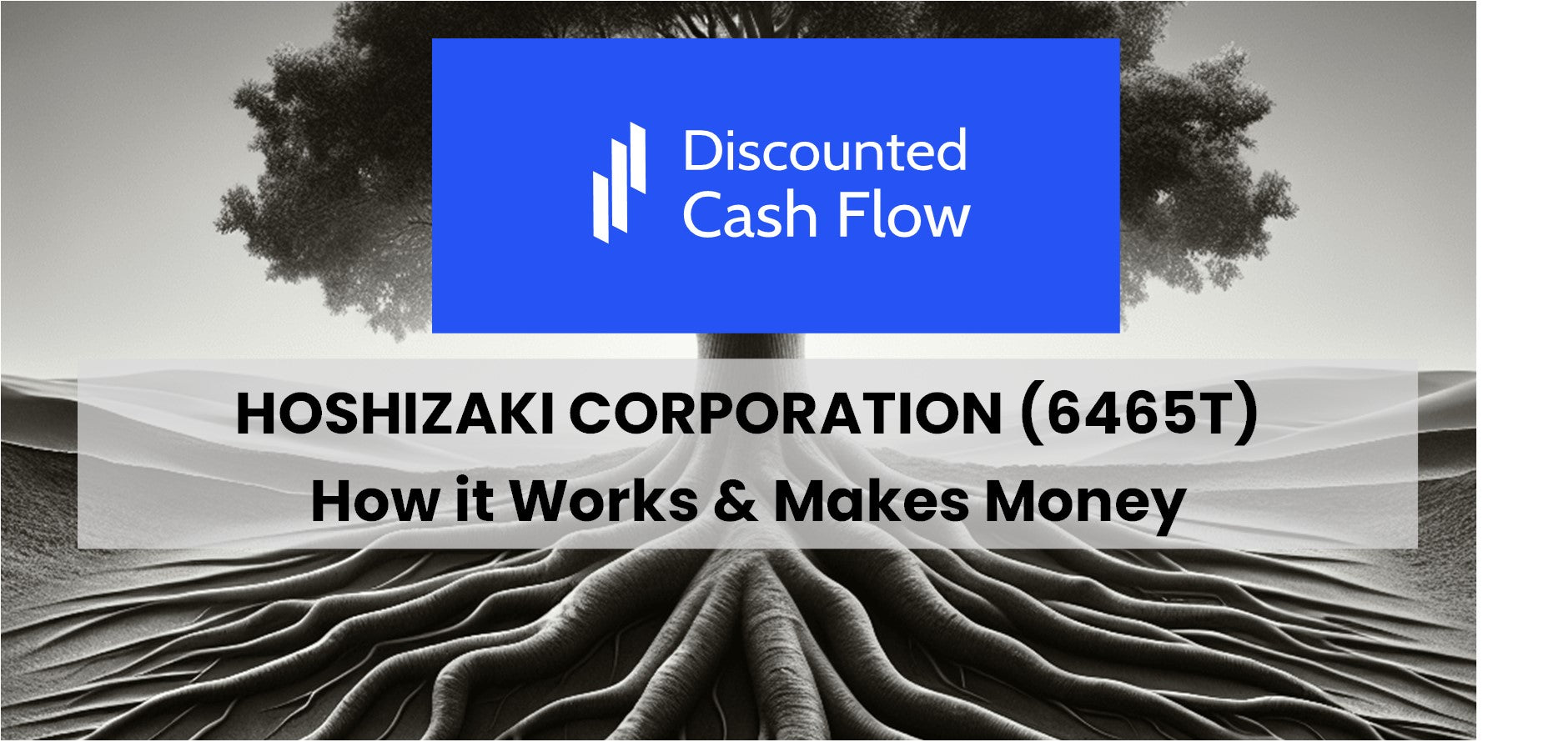 Hoshizaki Corporation (6465T): history, ownership, mission, how it ...