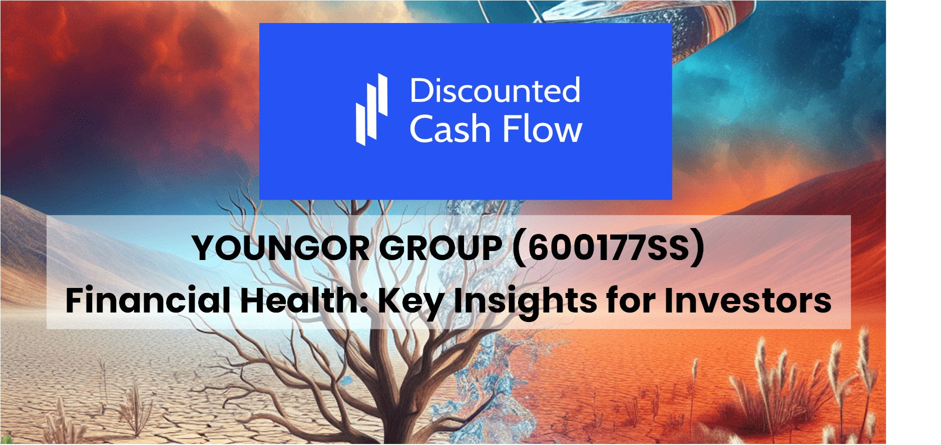 Breaking Down Youngor Group (600177SS) Financial Health: Key Insights ...