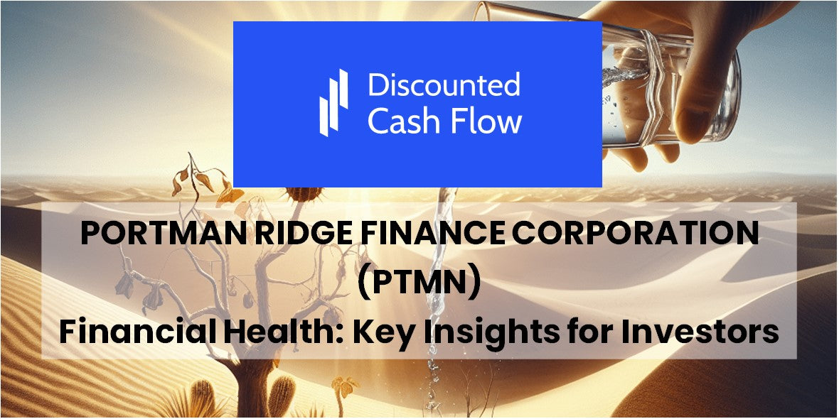 Desglosar Portman Ridge Finance Corporation (PTMN): Insights clave para ...