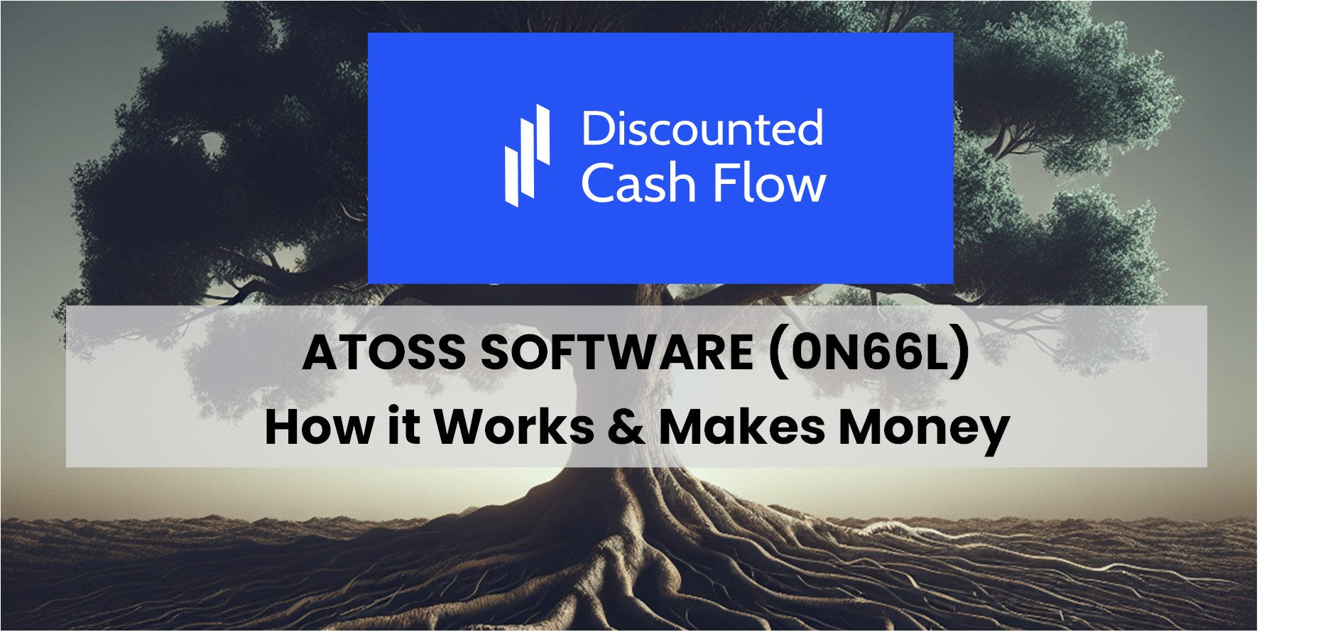 ATOSS Software (0N66L): history, ownership, mission, how it works ...