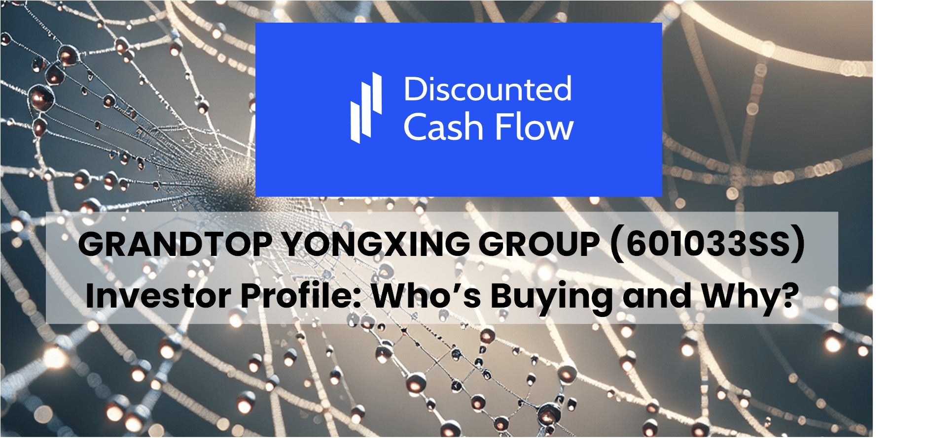 Explorando el Grupo de Yongxing de Grandtop (601033SS): ¿Quién está ...