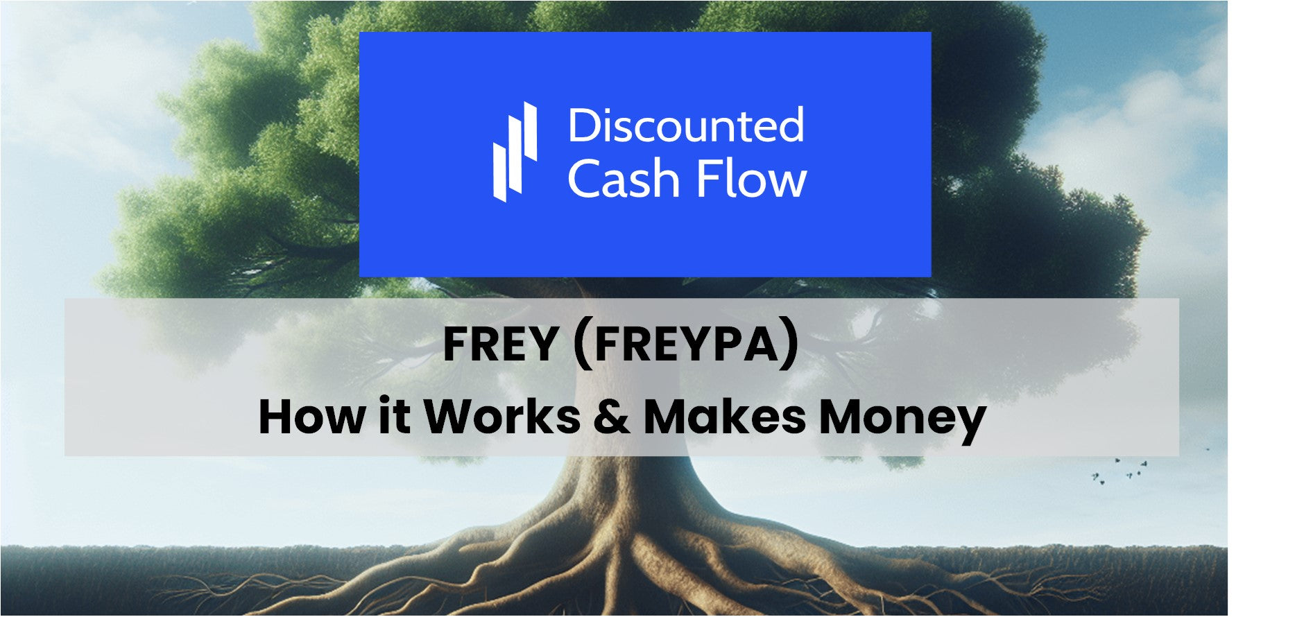 Frey (Freypa): Historia, Propiedad, Misión, cómo funciona & gana dinero ...