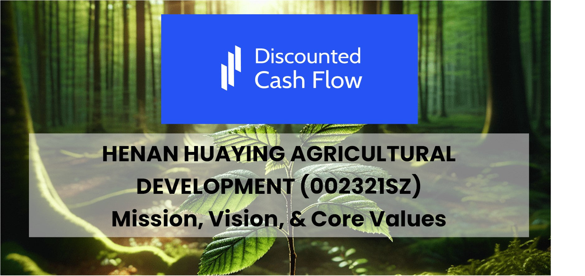 Mission Statement, Vision, & Core Values (2025) of Henan Huaying ...